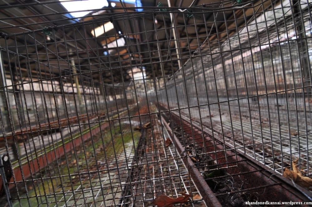 Inside A Cage | Abandoned Kansai