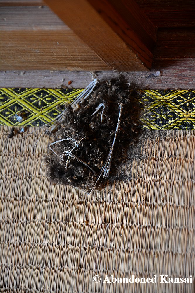 Decayed Bat | Abandoned Kansai