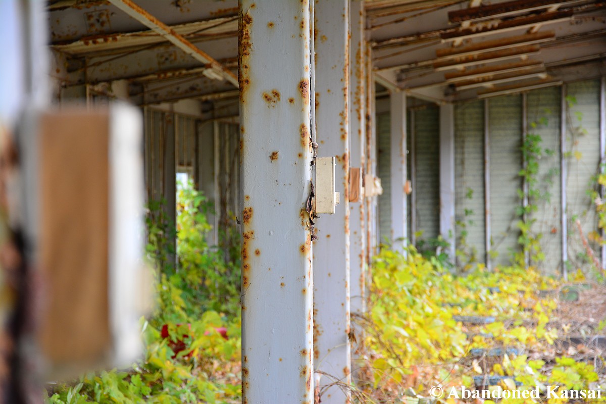 Perfect Natural Decay | Abandoned Kansai