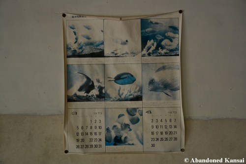Tropical Fish Calendar Sheet | Abandoned Kansai